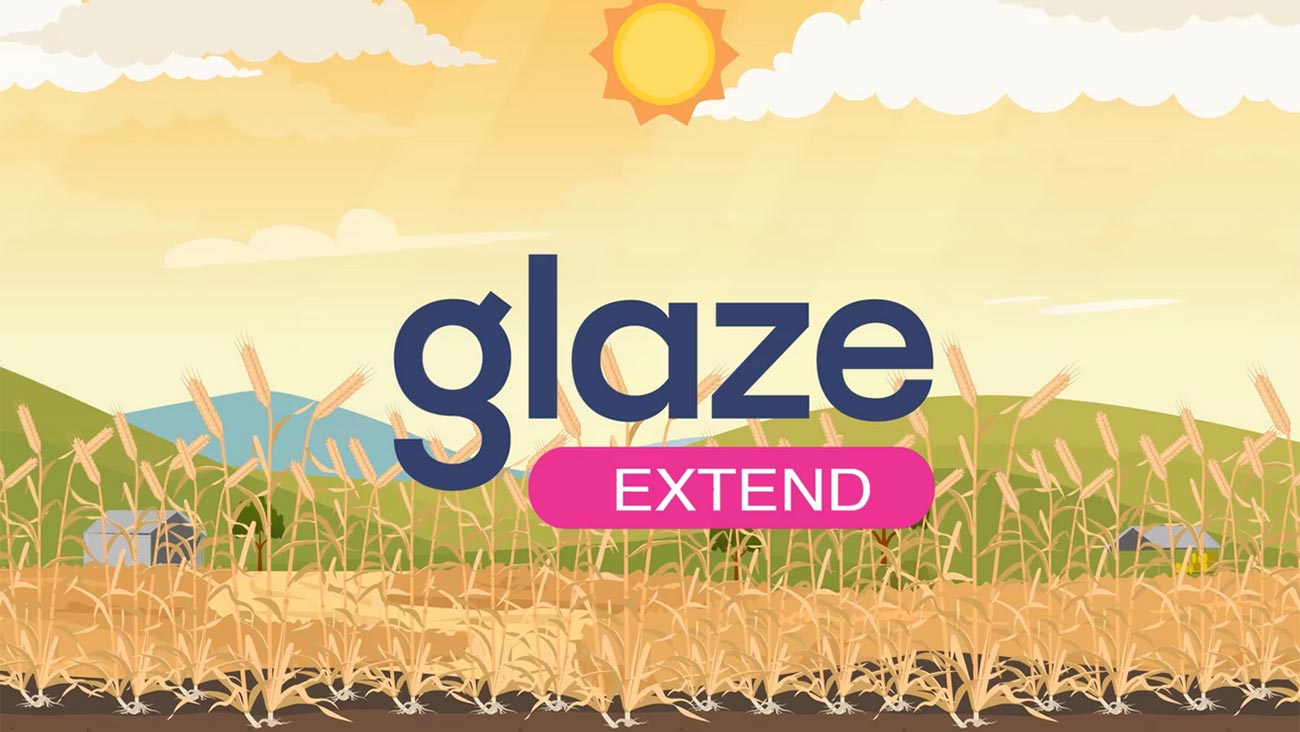 Glaze Extend | Tanuki